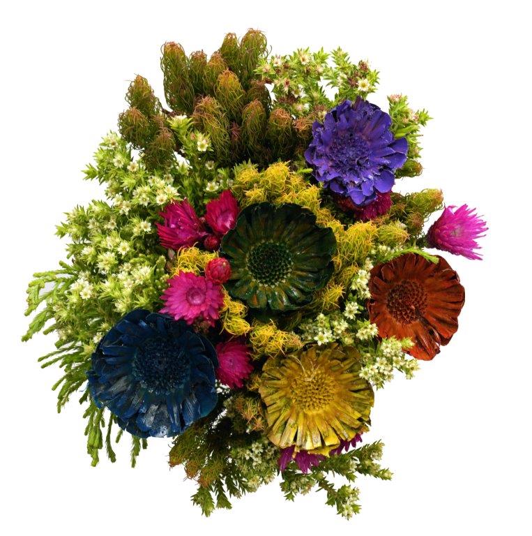 Rainbow Mix - Concordia Farm