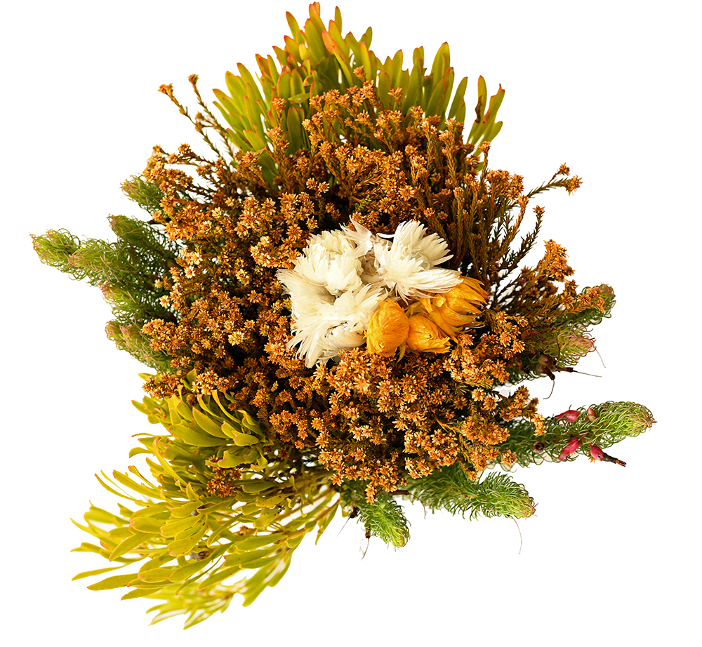 Sun Mix - Concordia Farm